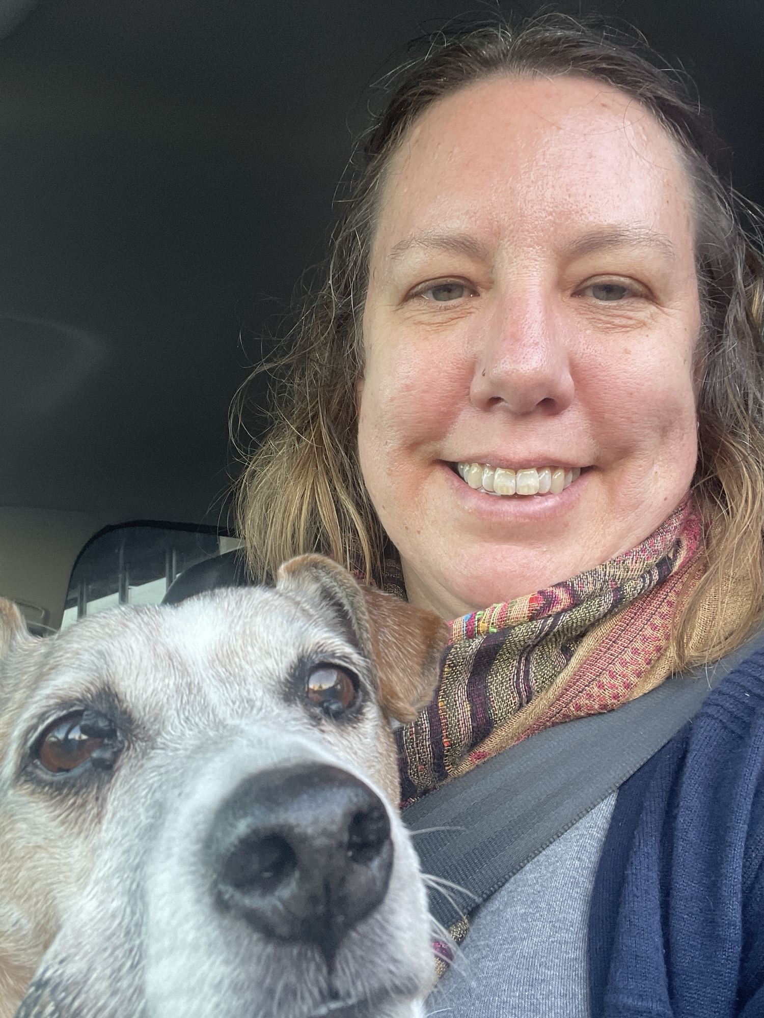 The Mystery of Liminal Space – Four Paws & You Dog Training