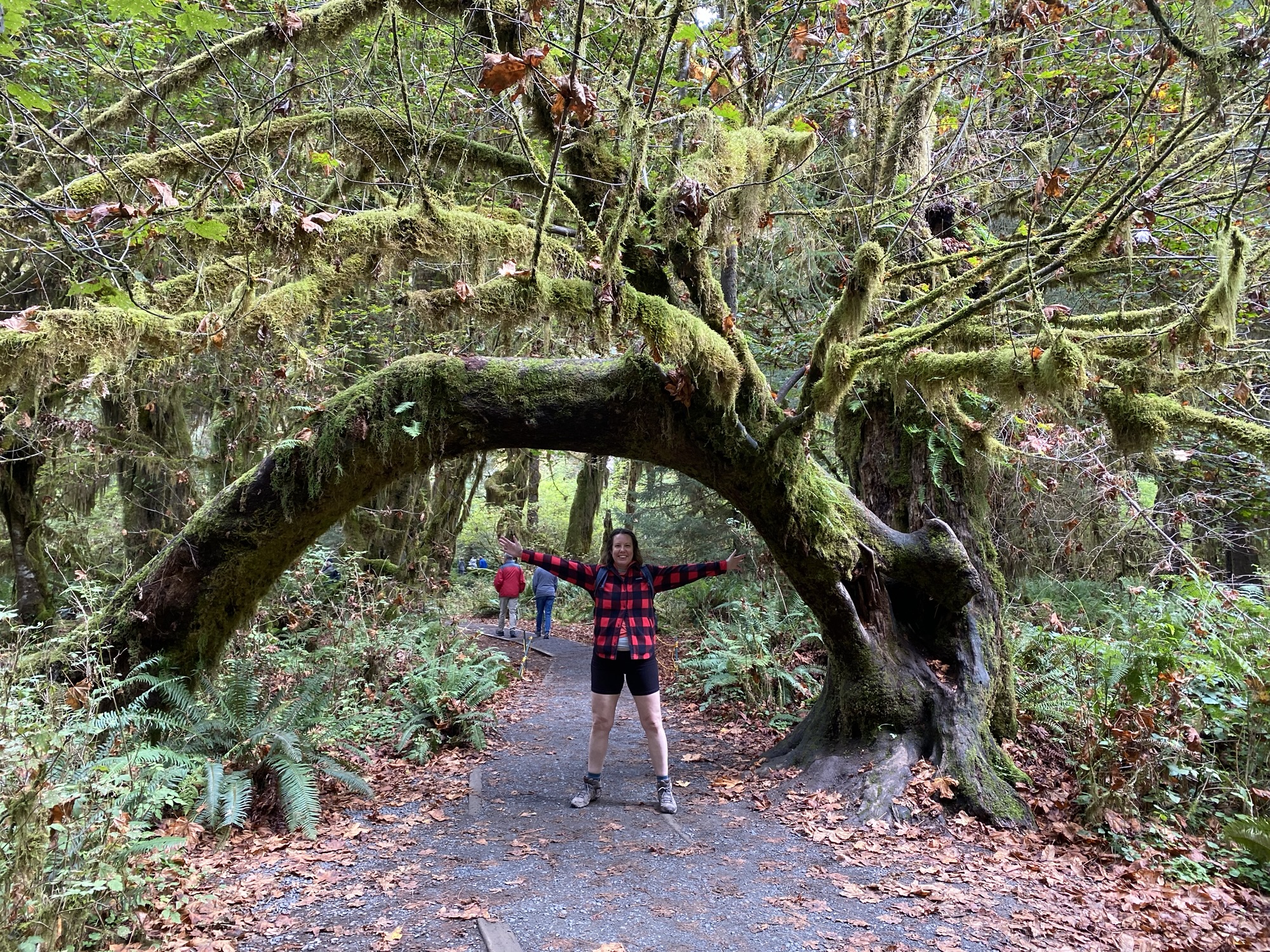 Integration of All Parts – Four Paws & You Dog Training